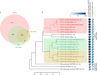 Evaluation of a concatenated protein phylogeny for classification of ...