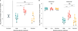 Selection on Aedes aegypti alters Wolbachia -mediated dengue virus blocking and fitness | Nature ...