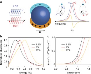 Plasmon-induced carrier polarization in semiconductor nanocrystals | Nature Nanotechnology