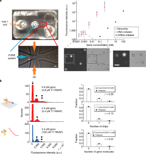 Construction of integrated gene logic-chip | Nature Nanotechnology