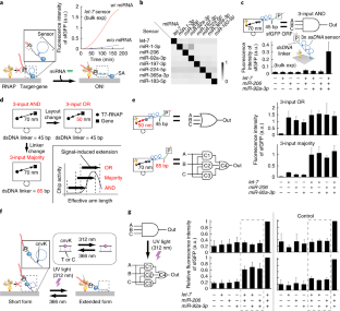 Construction of integrated gene logic-chip | Nature Nanotechnology