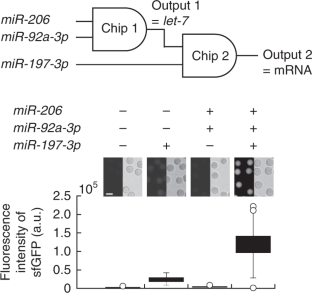Construction of integrated gene logic-chip | Nature Nanotechnology