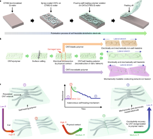 An integrated self-healable electronic skin system fabricated via ...