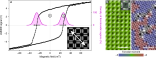 Poling of an artificial magneto-toroidal crystal | Nature Nanotechnology
