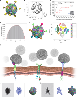 Current understanding of biological identity at the nanoscale and ...