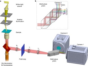 Combined multi-plane phase retrieval and super-resolution optical ...