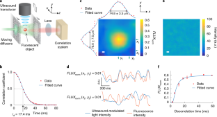Fluorescence imaging through dynamic scattering media with speckle ...