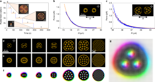 Two-dimensional skyrmion bags in liquid crystals and ferromagnets ...