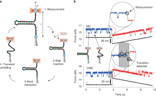 Large work extraction and the Landauer limit in a continuous Maxwell ...