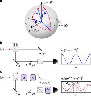 Emergence of the geometric phase from quantum measurement back-action ...