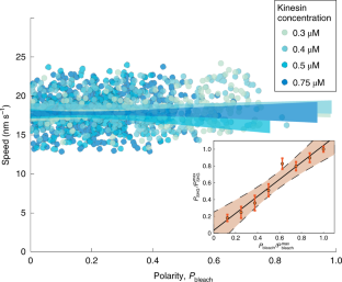 Self-straining of actively crosslinked microtubule networks | Nature ...