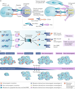The evolving landscape of biomarkers for checkpoint inhibitor ...