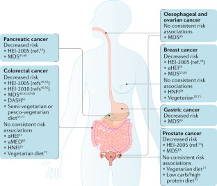 Dietary patterns and cancer risk | Nature Reviews Cancer