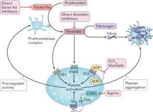 Dual-pathway inhibition for secondary and tertiary antithrombotic ...