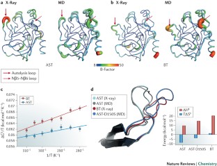 Computation of enzyme cold adaptation | Nature Reviews Chemistry