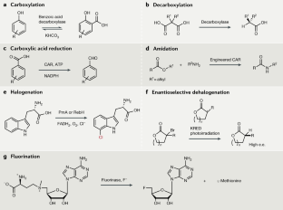 Extending the application of biocatalysis to meet the challenges of ...