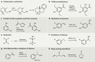 Extending the application of biocatalysis to meet the challenges of ...