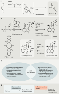 Innovation in protecting-group-free natural product synthesis | Nature ...