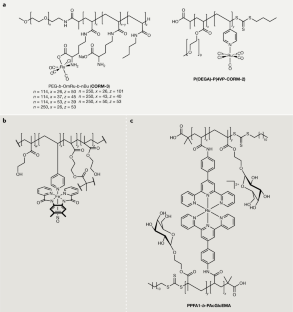 Polymer encapsulation of ruthenium complexes for biological and ...