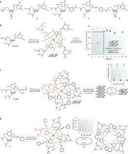 Applications of guanine quartets in nanotechnology and chemical biology ...