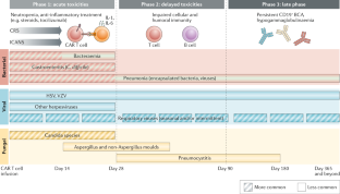 Beyond the storm — subacute toxicities and late effects in children ...
