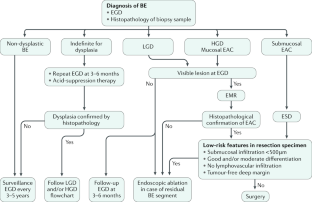 Barrett oesophagus | Nature Reviews Disease Primers