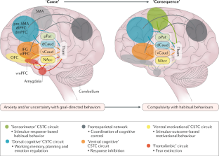 Obsessive–compulsive disorder | Nature Reviews Disease Primers
