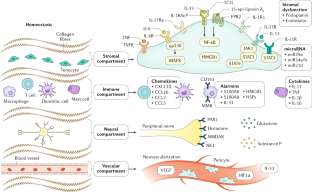 Tendinopathy | Nature Reviews Disease Primers