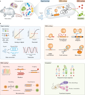 DNA-based memory devices for recording cellular events | Nature Reviews ...