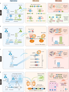 DNA-based memory devices for recording cellular events | Nature Reviews ...