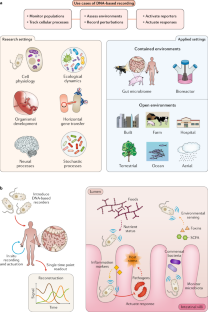 DNA-based memory devices for recording cellular events | Nature Reviews ...