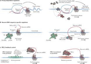 Chromatin-associated RNAs as facilitators of functional genomic interactions | Nature Reviews ...