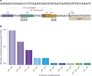 Redefining fundamental concepts of transcription initiation in bacteria ...