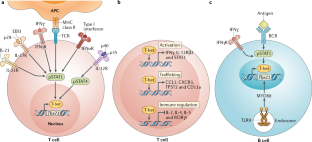 The evolving role of T-bet in resistance to infection | Nature Reviews ...