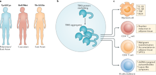 TIM3 comes of age as an inhibitory receptor | Nature Reviews Immunology