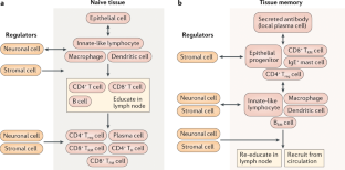 Distribution and storage of inflammatory memory in barrier tissues ...