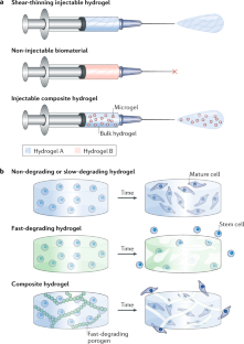 Biomaterials for cell transplantation | Nature Reviews Materials