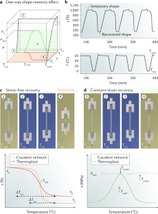 Reprogrammable recovery and actuation behaviour of shape-memory ...