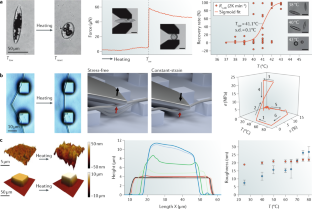 Reprogrammable recovery and actuation behaviour of shape-memory polymers | Nature Reviews Materials