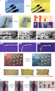Reprogrammable recovery and actuation behaviour of shape-memory polymers | Nature Reviews Materials