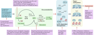 Oncometabolites in renal cancer | Nature Reviews Nephrology