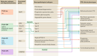 Development of disease-modifying drugs for frontotemporal dementia ...