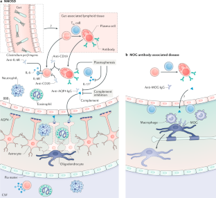 B cells in autoimmune and neurodegenerative central nervous system ...