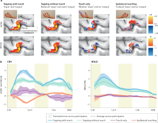 The human motor cortex microcircuit: insights for neurodegenerative disease | Nature Reviews ...