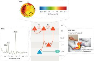 The human motor cortex microcircuit: insights for neurodegenerative ...