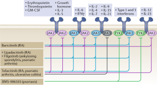 Selective Janus kinase inhibitors come of age | Nature Reviews Rheumatology