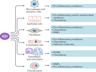 Systemic effects of IL-17 in inflammatory arthritis | Nature Reviews ...