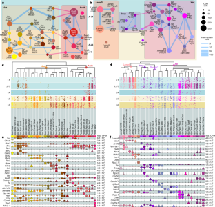 Shared and distinct transcriptomic cell types across neocortical areas ...