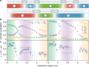 Quantum Kibble–Zurek mechanism and critical dynamics on a programmable Rydberg simulator | Nature