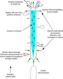 Needle-like structures discovered on positively charged lightning ...